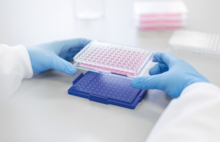 How is Magnetic 3D Bioprinting an Enabling Tool for High-Throughput ... How is Magnetic 3D Bioprinting an Enabling Tool for High-Throughput ...